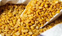 UPAg - Unified Portal for Agricultural Statistics